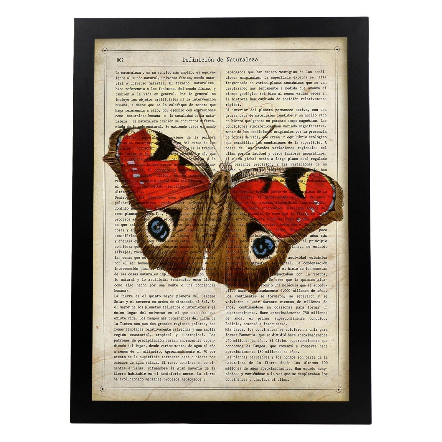 Poster De Mariposa Pavo Real. Láminas De Mariposas. Decoracion De ...