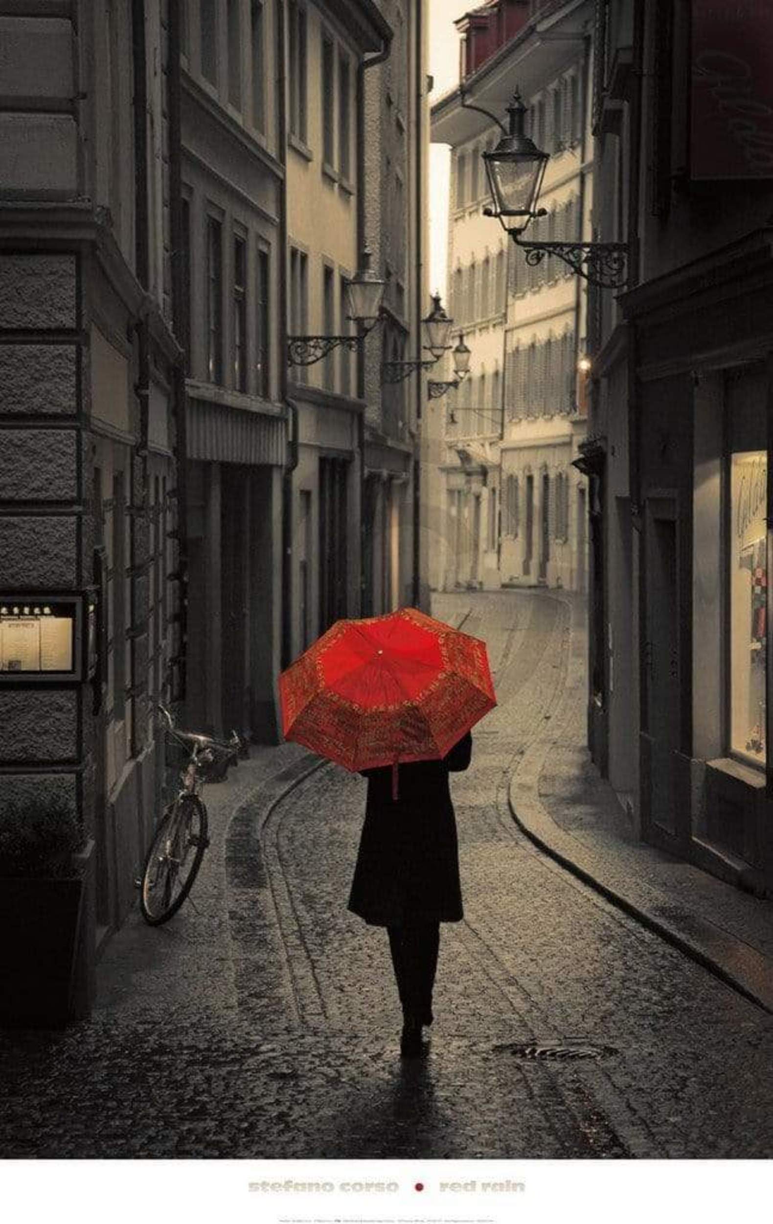 Affiche Art Stefano Corso - Red Rain 61x96cm | Leroy Merlin