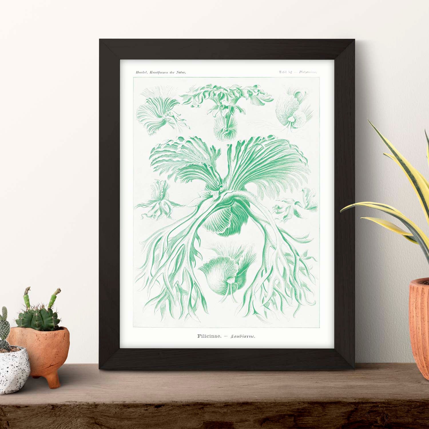 Lame Artistique Décorative Avec Une Illustration De Filicinae A4 Style ...