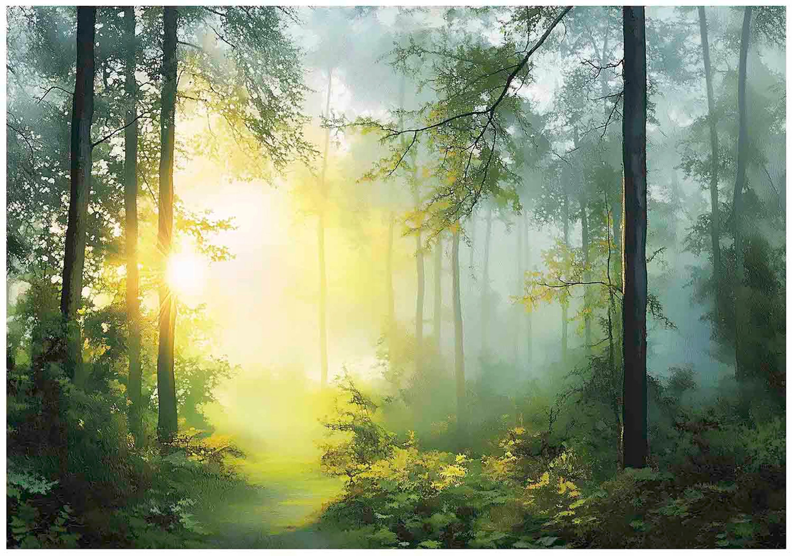 Papier Peint Intissé Pour Chambre Cuisine Panoramique Forêt Arbres 3D ...