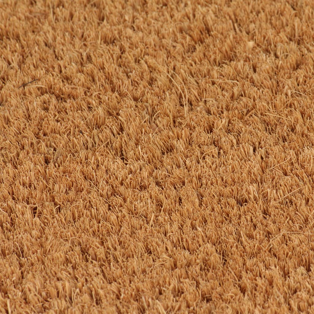 Felpudo de fibra de coco copetuda 40x60 cm | Leroy Merlin