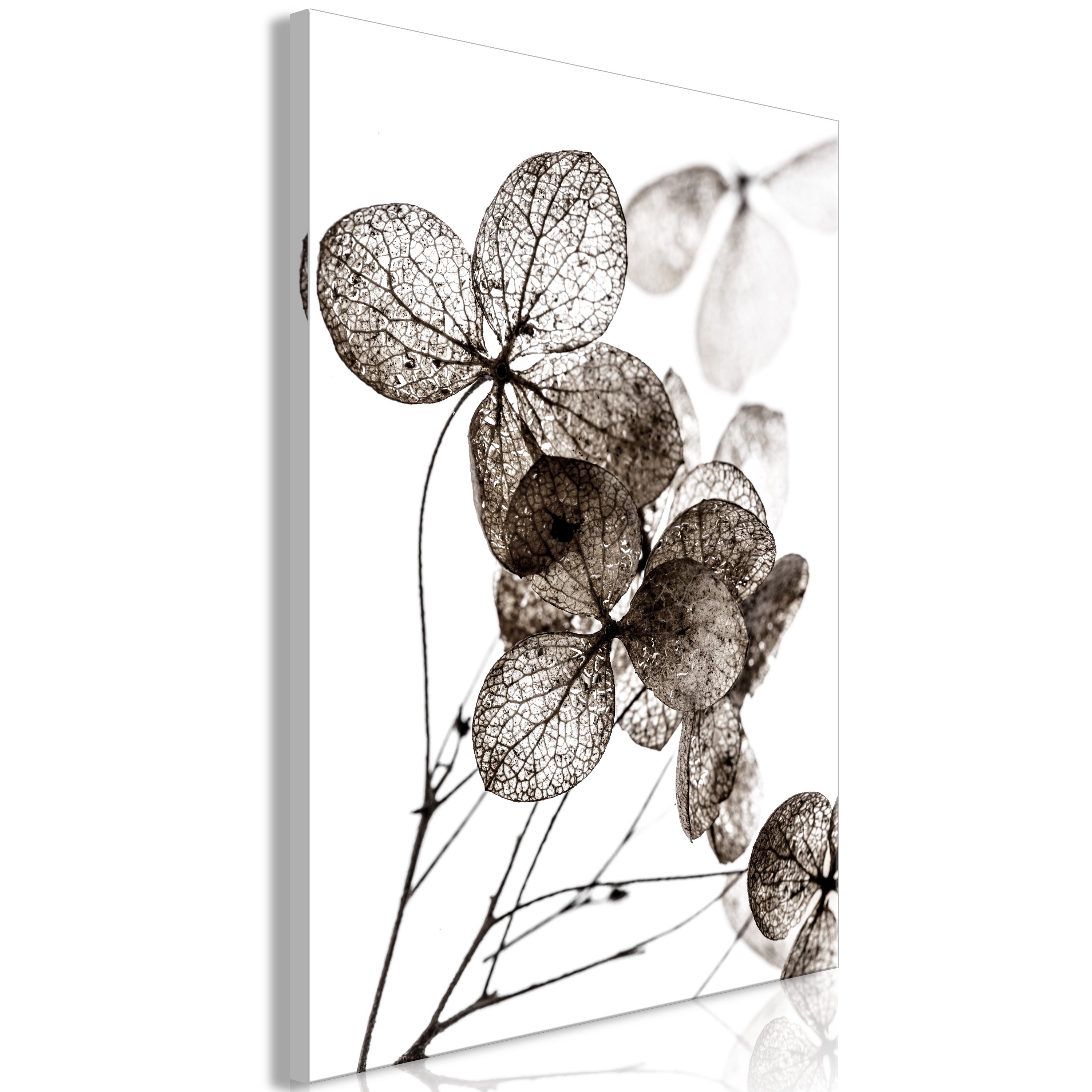 Tableau - Transparent Clover (1 Part) Vertical [20x30] | Leroy Merlin