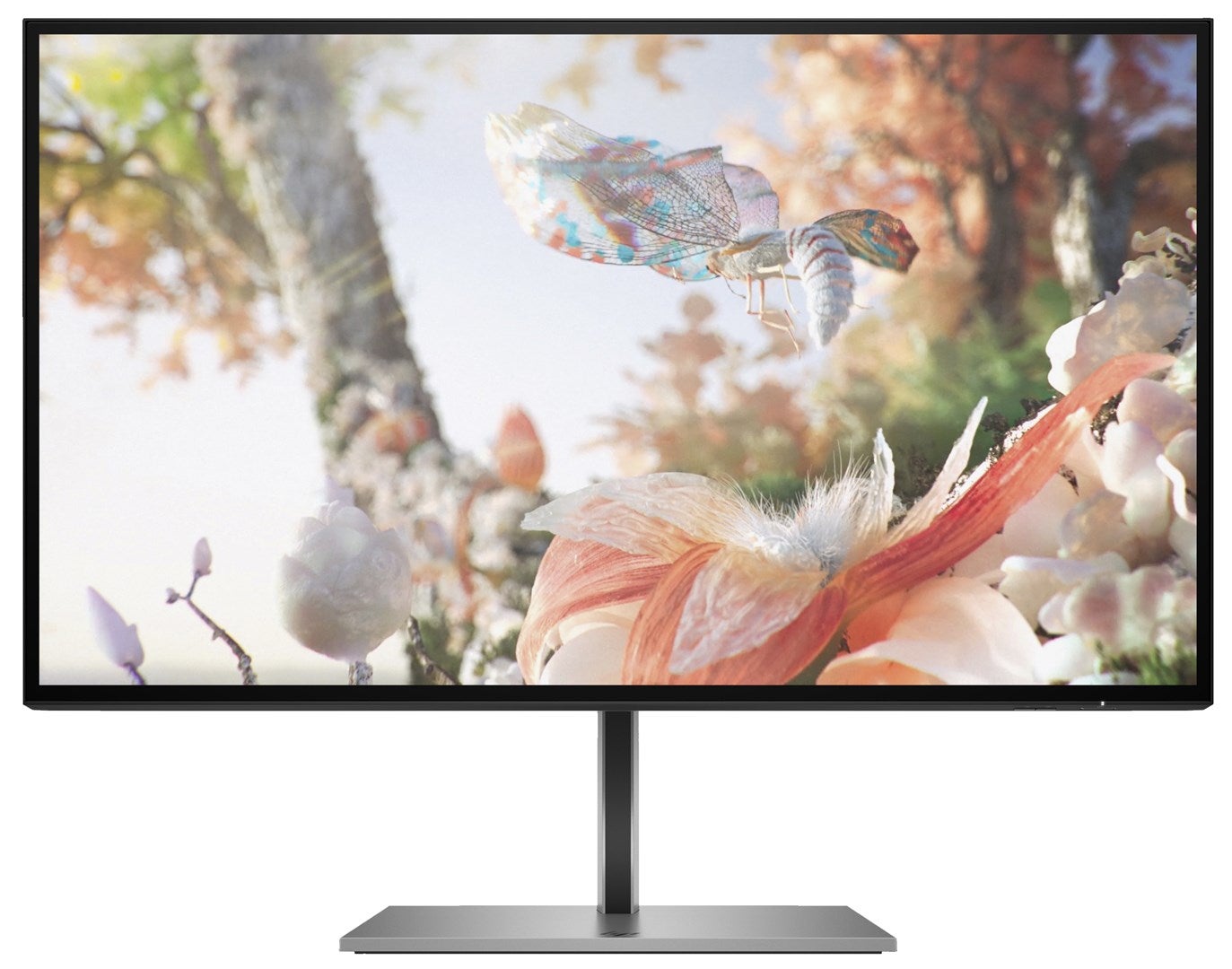 Schermo HP Z25xs G3 QHD USB-C DreamColor | Leroy Merlin