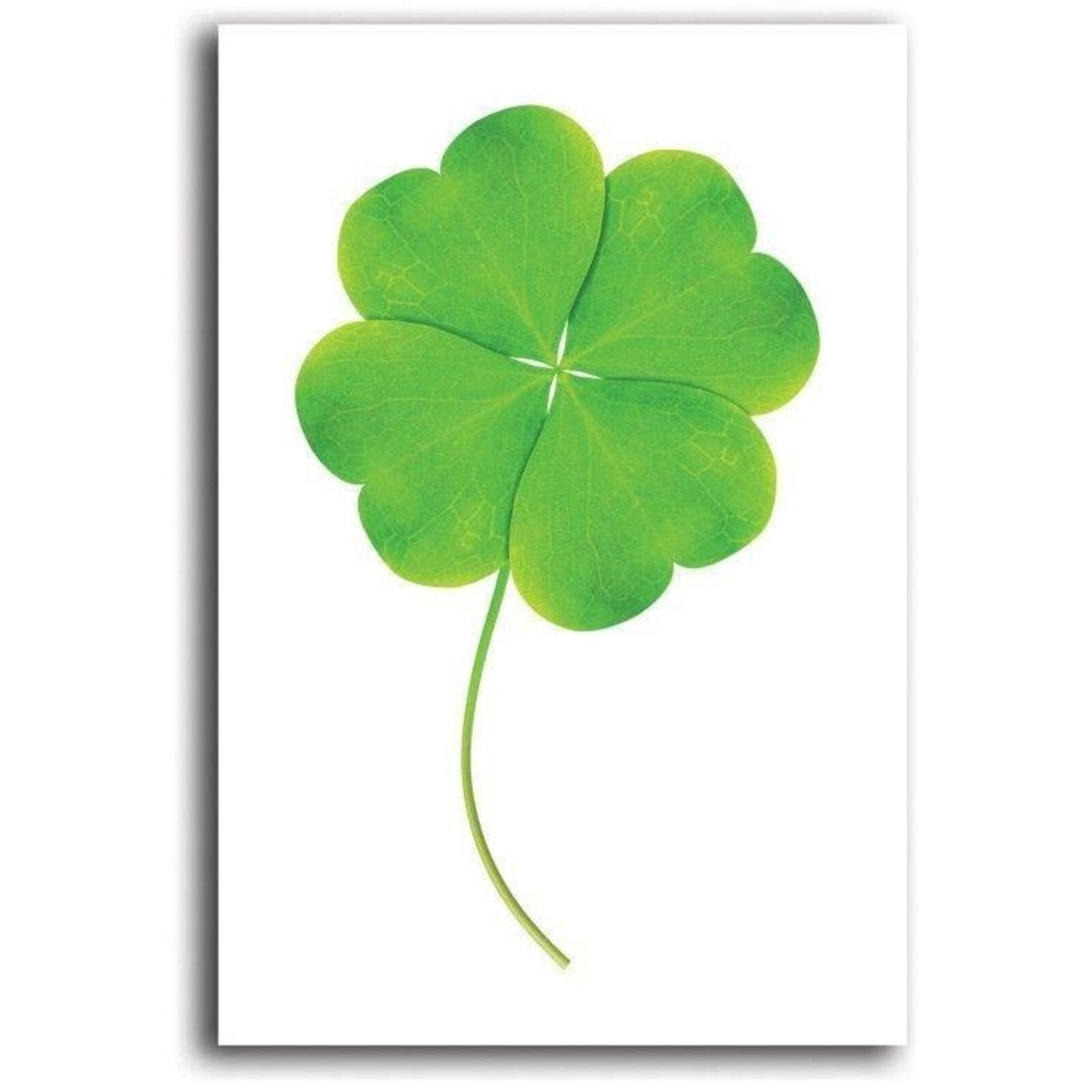 Tableau trèfle à quatre feuilles | Leroy Merlin