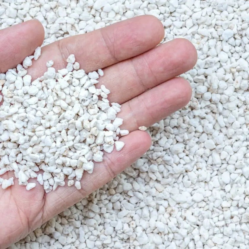 Perlite Espansa / Sacco 80 L. / 3-5 mm | Leroy Merlin