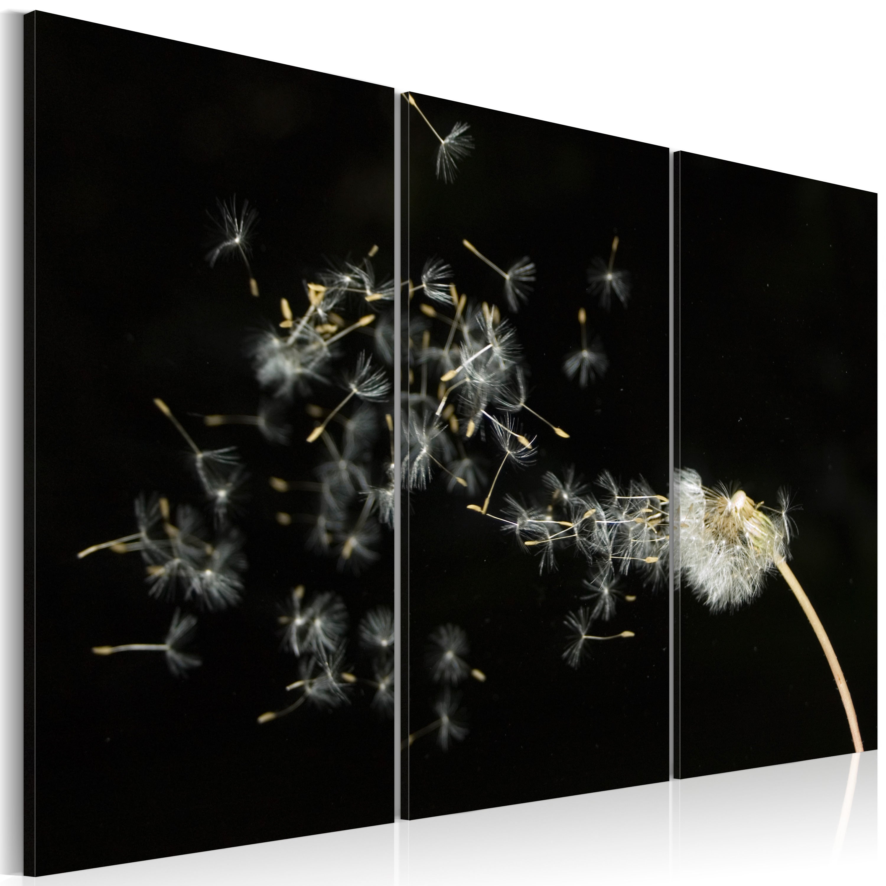 Quadro - Soffioni Effimeri Cm90x60h | Leroy Merlin