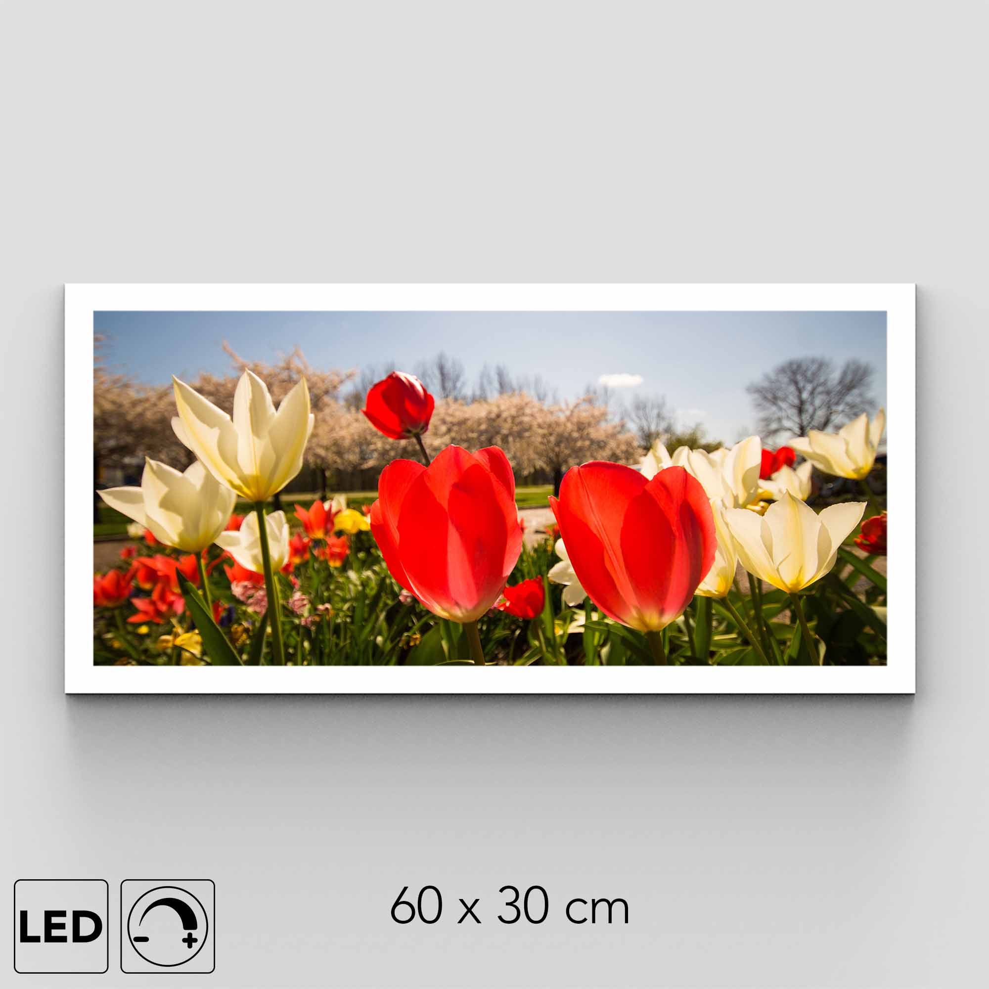 Applique murale Tulipes - Tableau LED - 60x30 cm - LUMENINSIDE ...