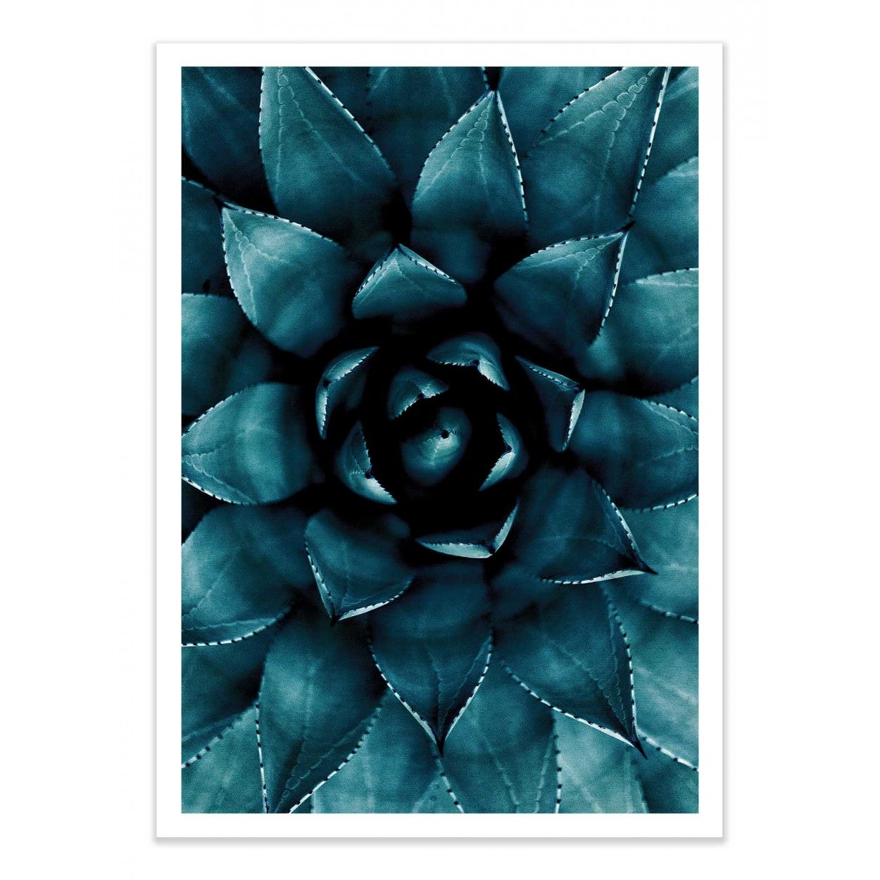 Art-Poster - Cactus No 9 - Kubistika - 50 x 70 cm | Leroy Merlin