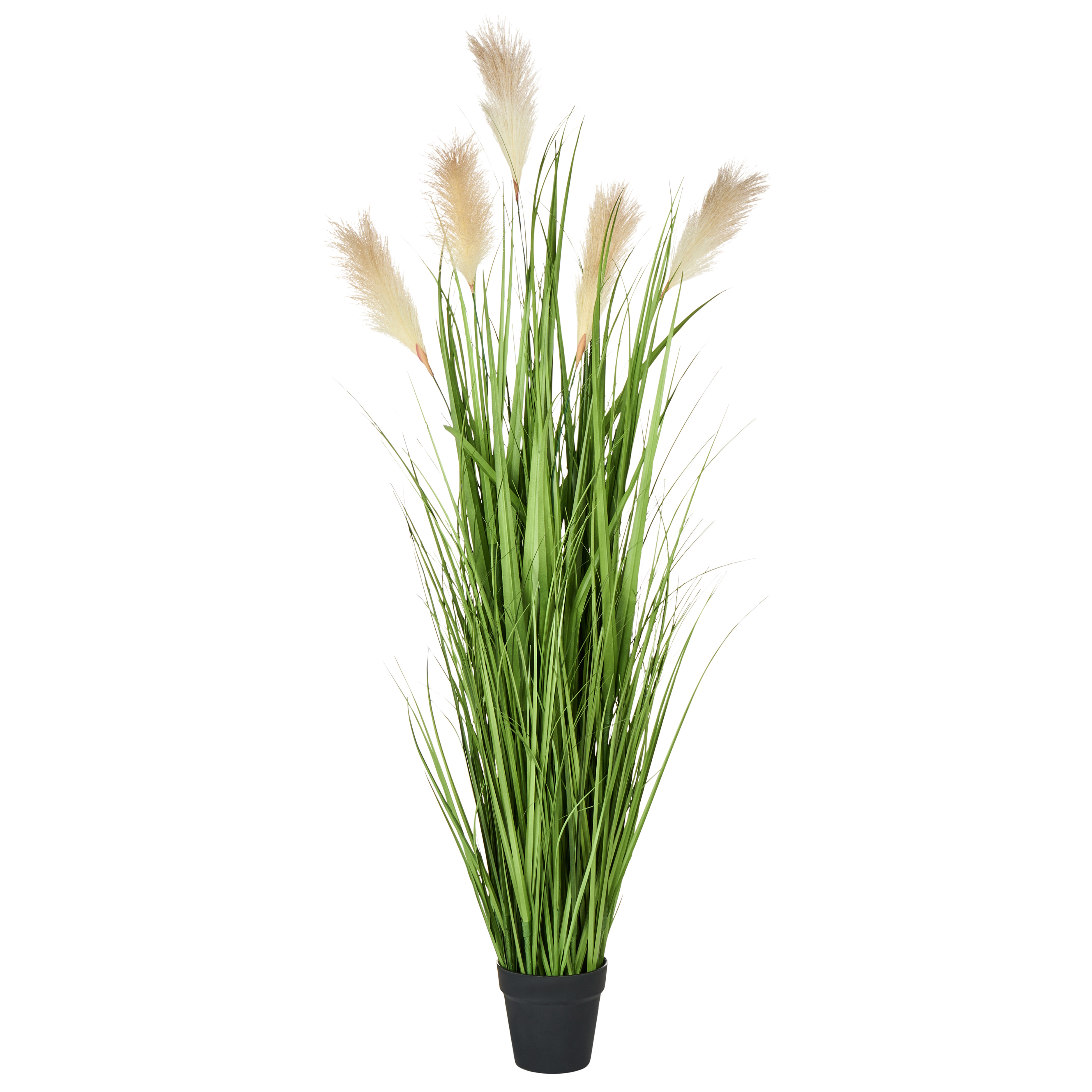 Plante artificielle PAMPAS GRASS 130 cm Vert | Leroy Merlin