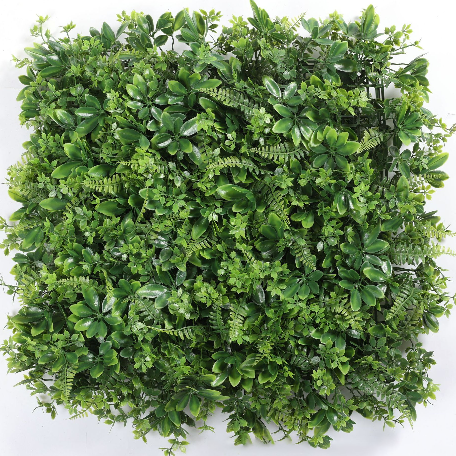 Paneles de seto artificial de 50 cm x 50 cm, pantallas protectoras y de privacidad para jardín ...