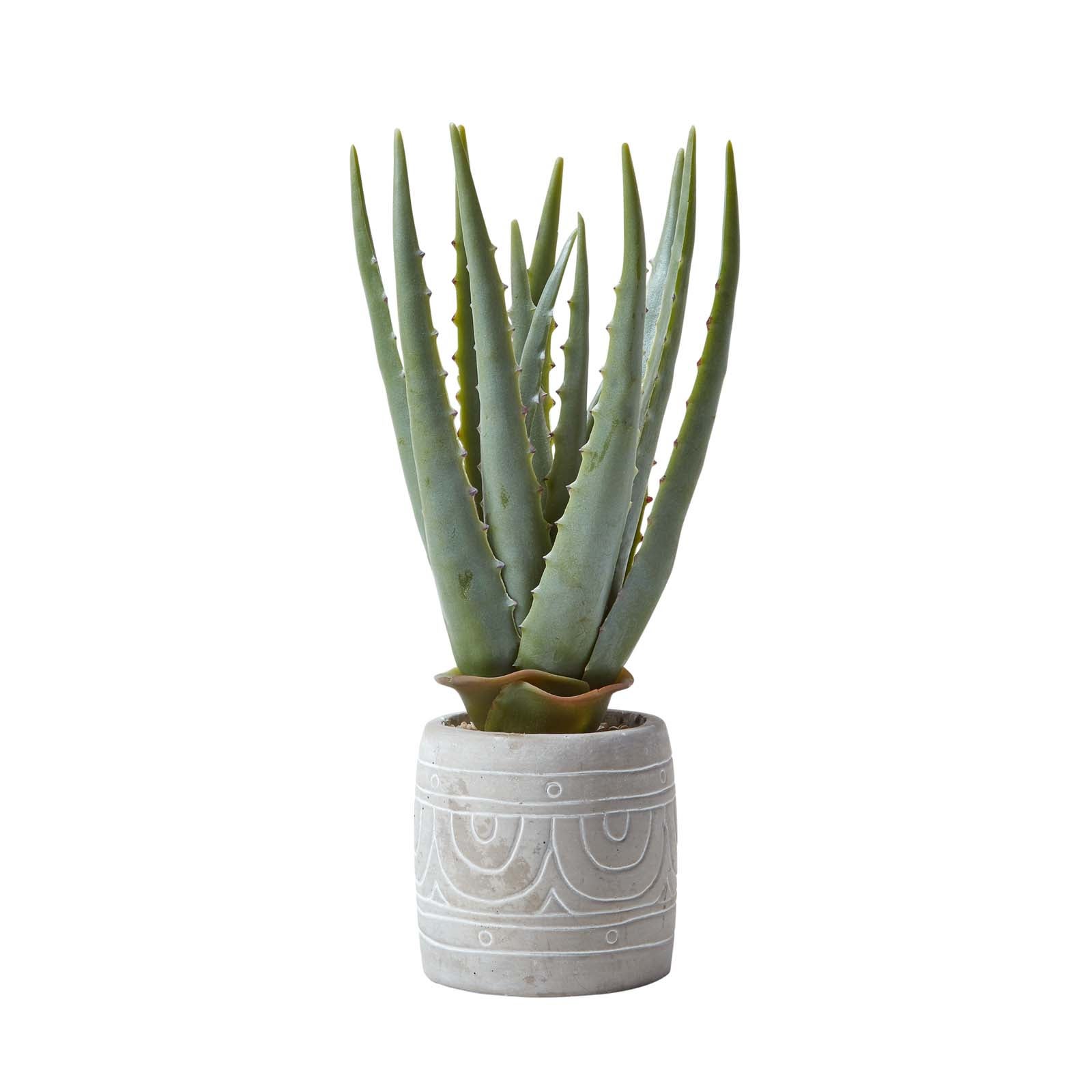 Homescapes Agave artificiel en pot gris sculpté 34 cm | Leroy Merlin