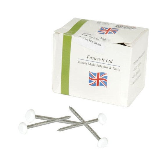 Clavo de acero inoxidable NICOLL punta de plástico blanco para BELRIV ...