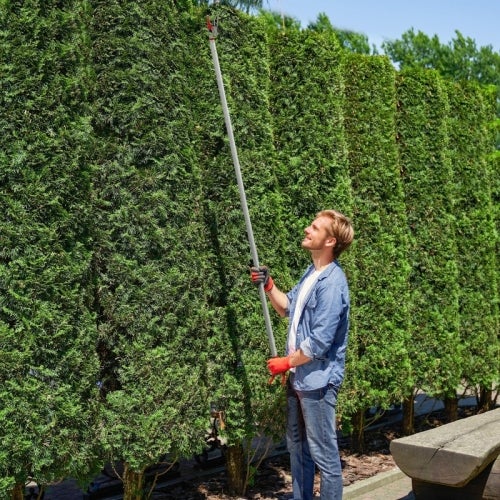 Ébrancheur télescopique 1,8m avec verrouillage, cisailles à arbres ...