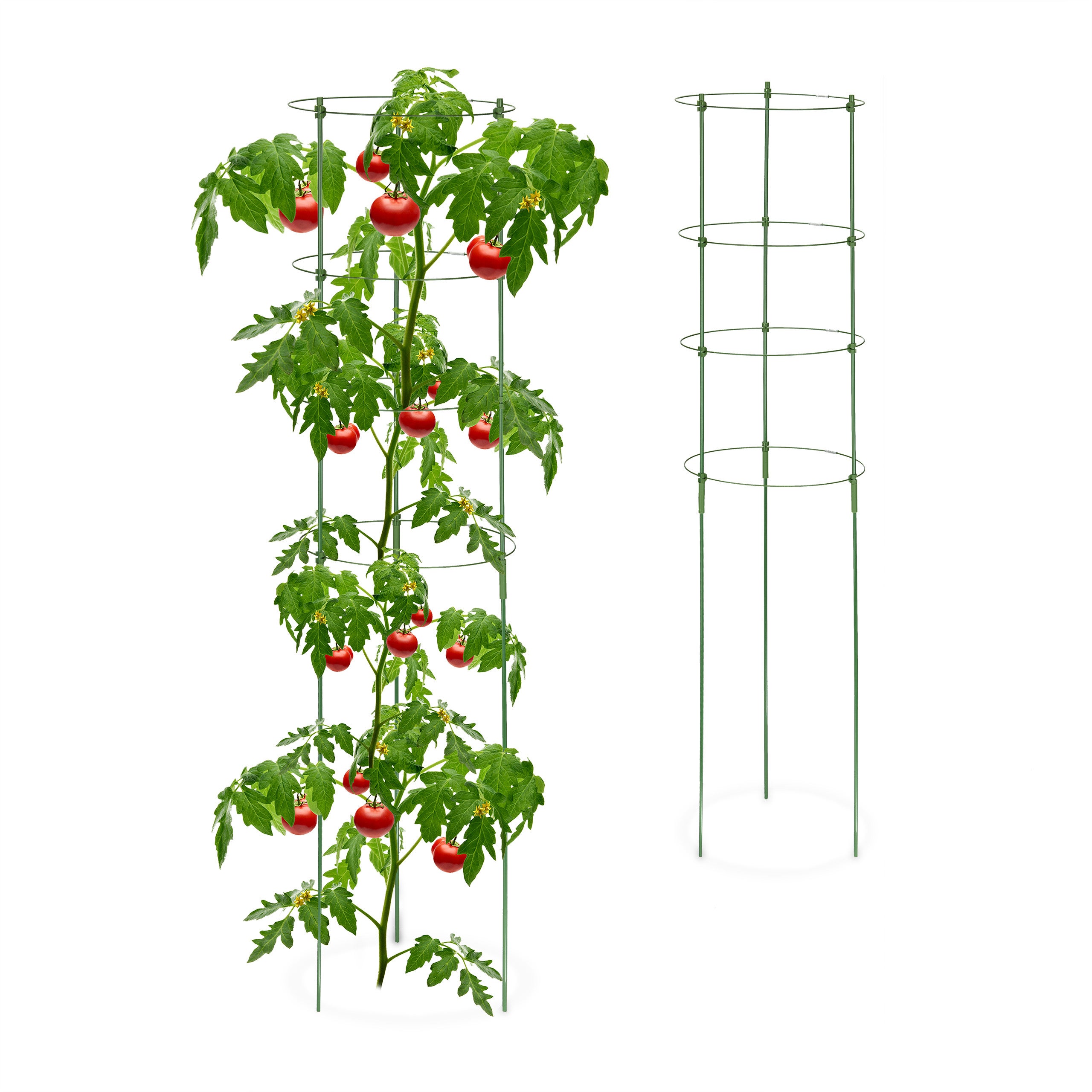 Relaxdays 2 Jaulas Tomates, Soporte Plantas Trepadoras, Tutores ...