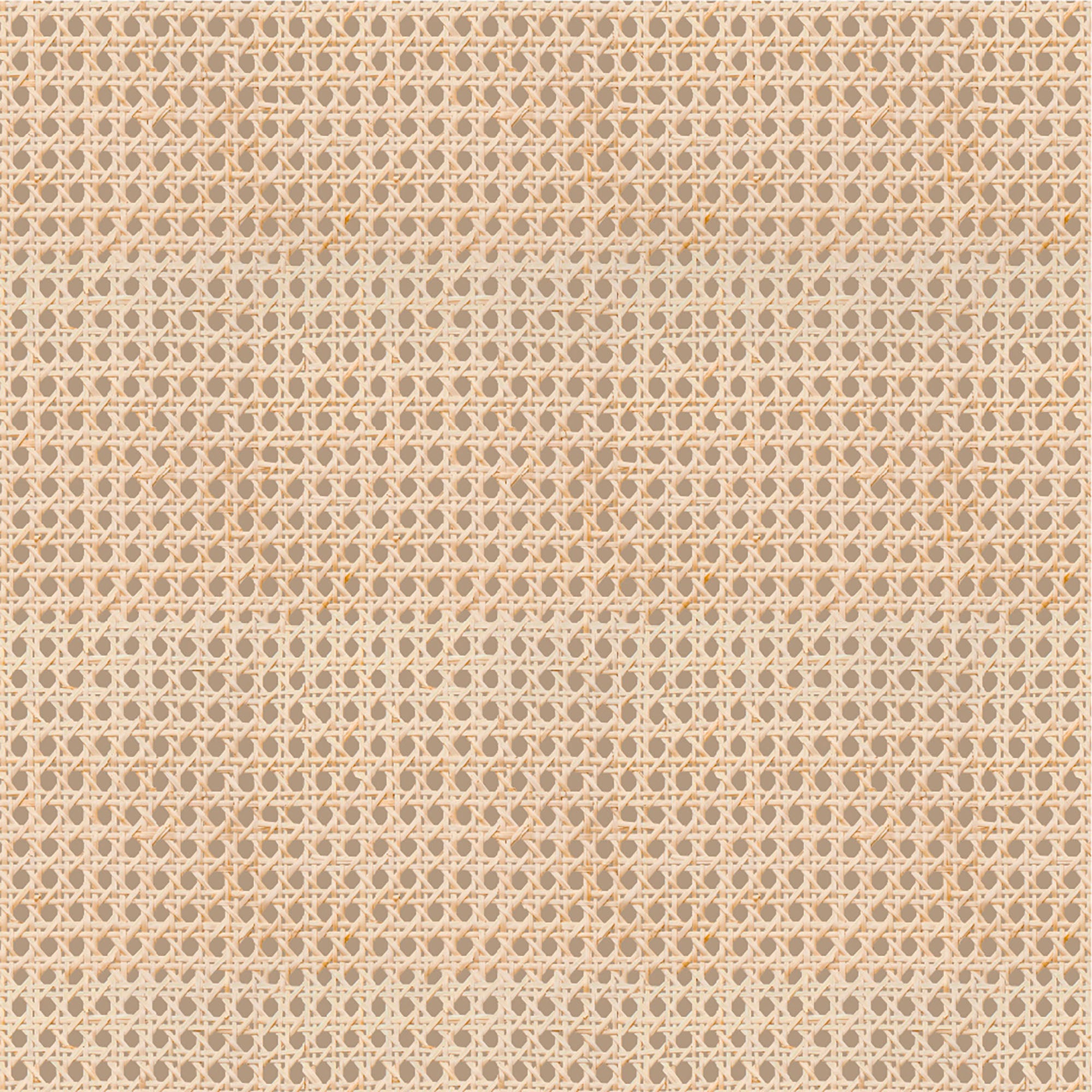 VINILO AUTOADHESIVO EN ROLLO, REMOVIBLE Y CON TINTAS ECO Modelo CANNAGE ...