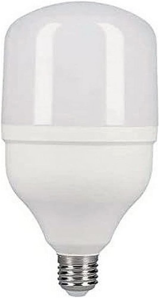 Bombilla LED de alta potencia de 50 W - Blanco cálido - 2160 lm | Leroy ...