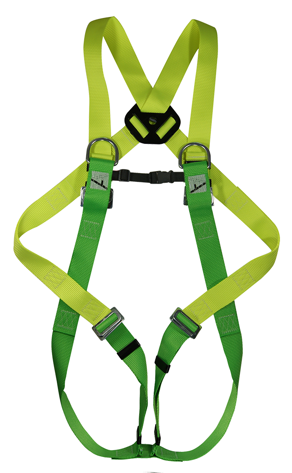 Harnais de sécurité complet Climax 27-C avec 2 points d'ancrage | Leroy ...