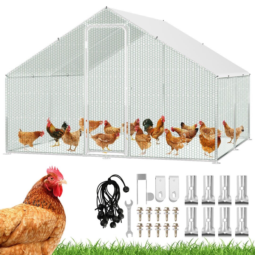 Gallinero 9 m² 3×3 m – Parque cercado con malla, acero galvanizado ...