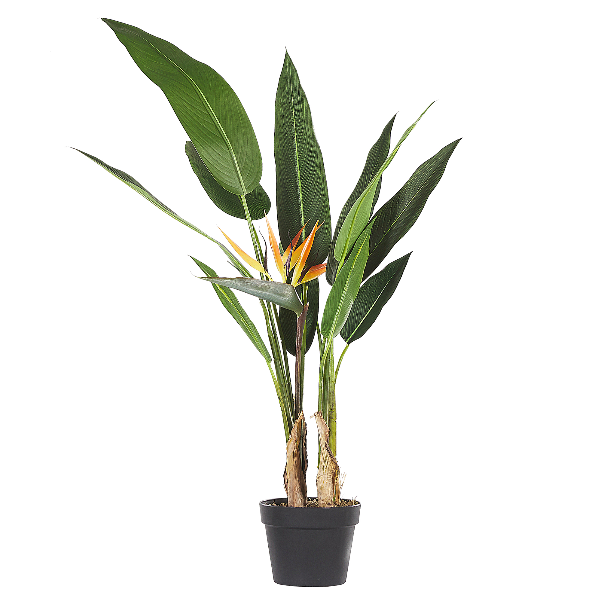 Pianta artificiale in vaso 115 cm STRELITZIA TREE | Leroy Merlin