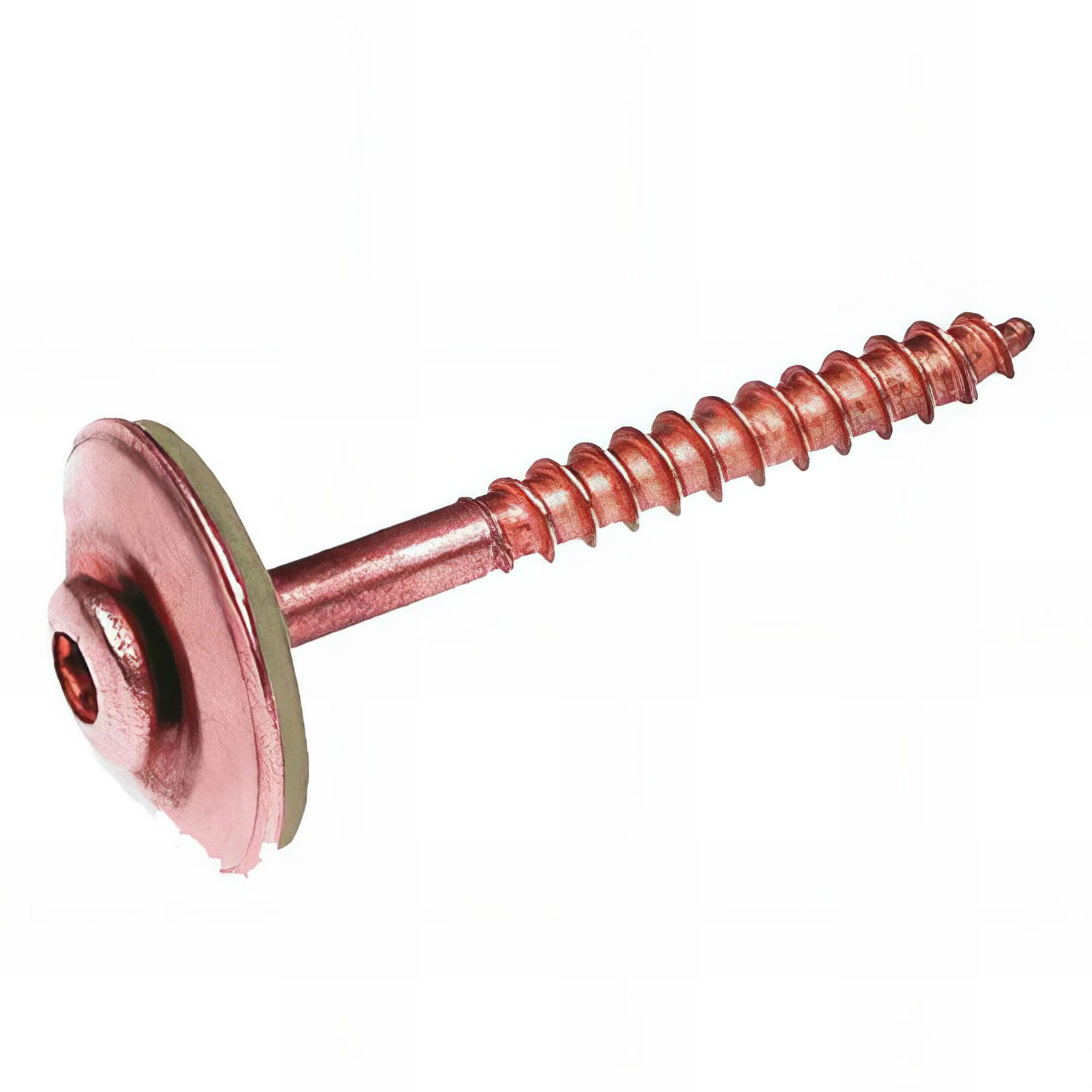 100 Vis à bois T20 pour bande de rive D. 4,5 x 25 mm + Rondelle étanche ...