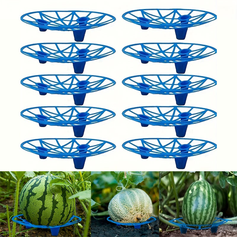 Lot de 10 plateaux de fruits de ferme bleus, plateau de support pour ...
