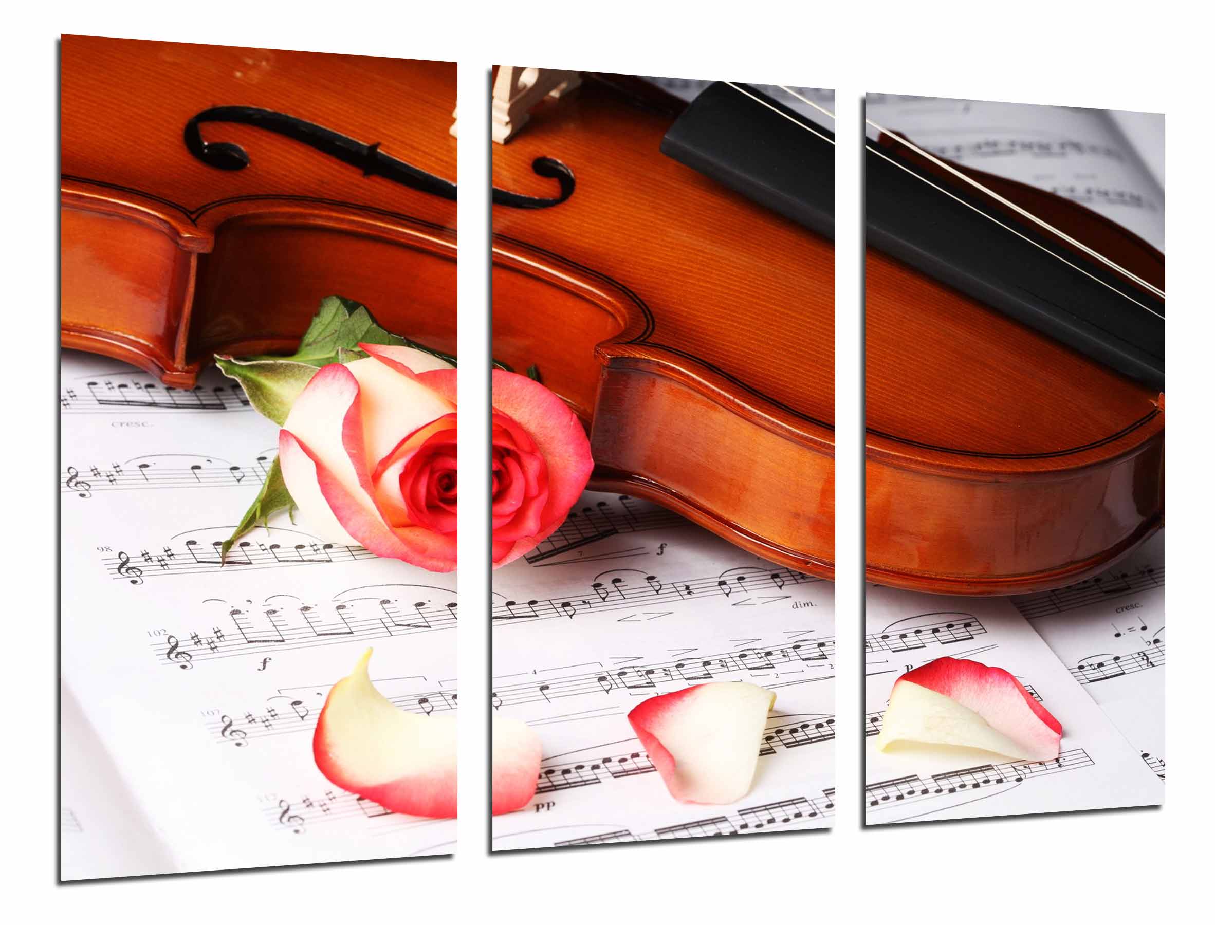 Violin Rosa y Partitura, Decoracion Romatica , impresión fotográfica ...