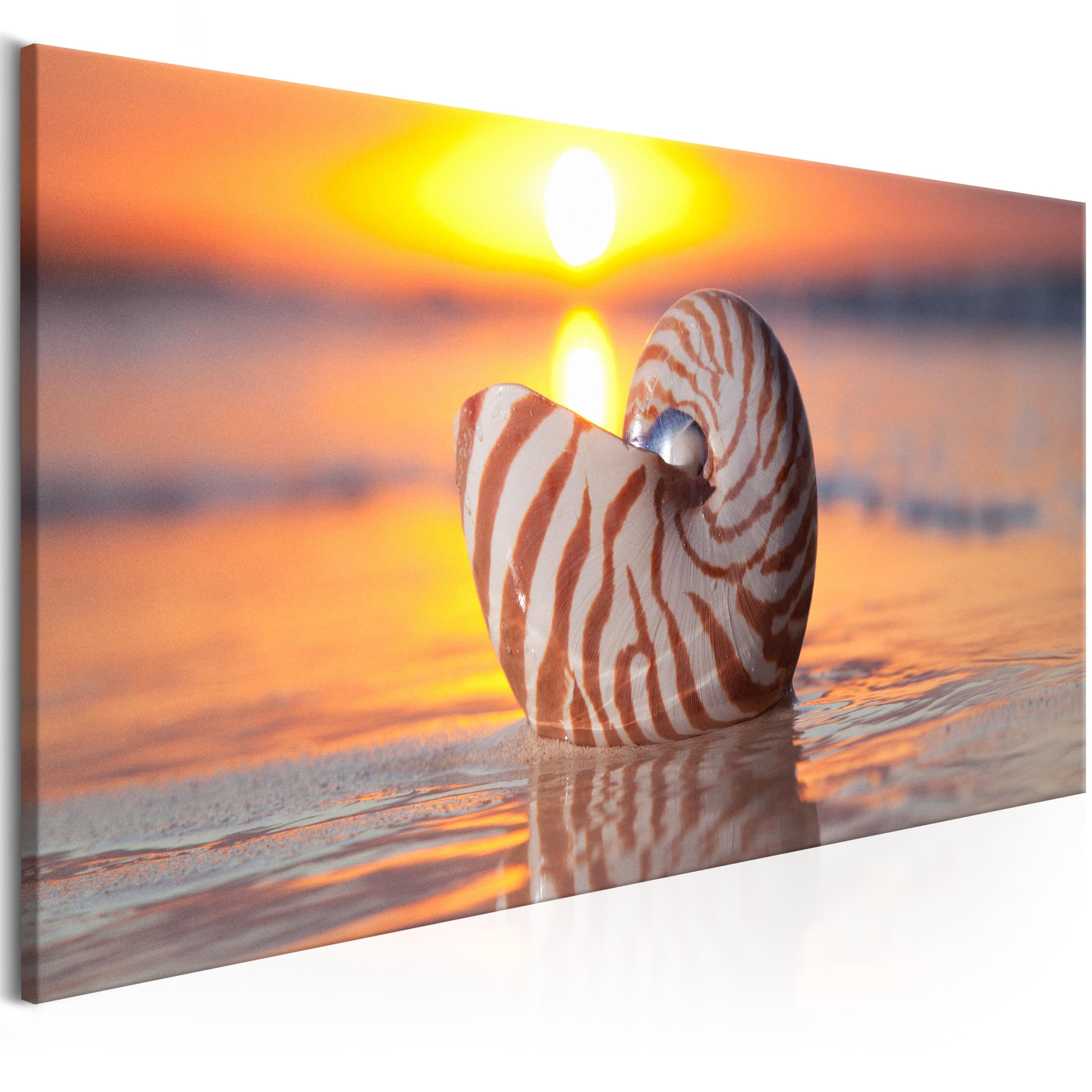 Tableau Seashell (1 Part) Narrow - L 150 x H 50 cm | Leroy Merlin