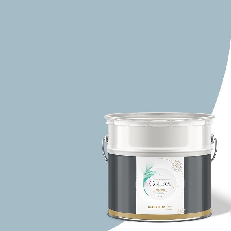 Peinture murs et plafonds Bleu Turquin, Velours 12L, peinture ...