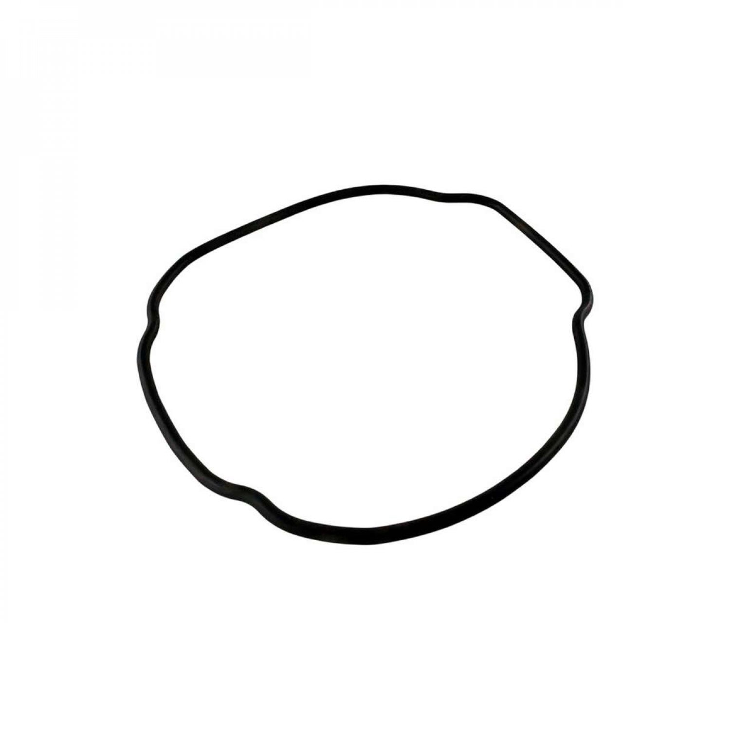 Joint torique de corps de pompe de piscine TRISTAR - SPX3200T - Hayward ...