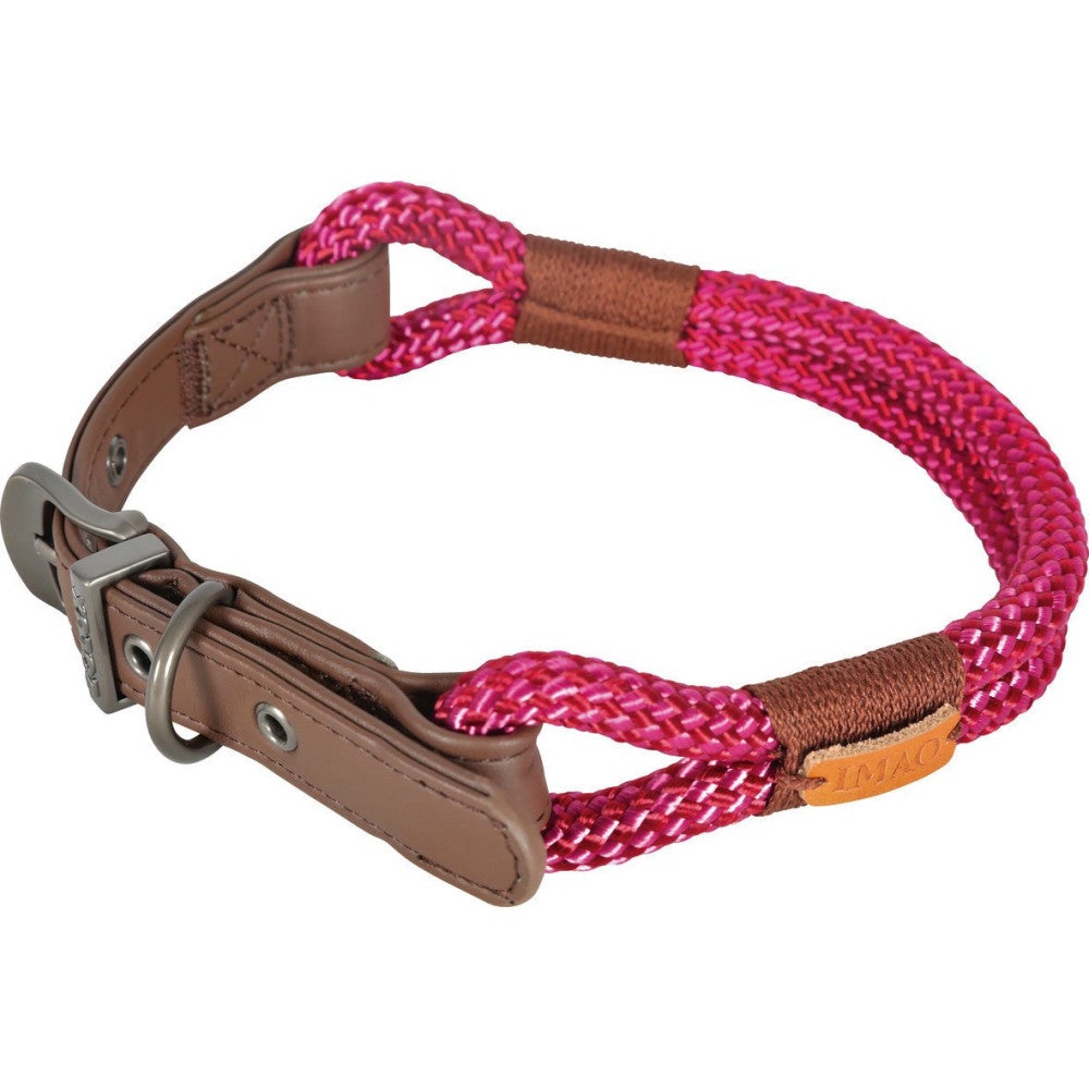 Zolux -Collier IMAO 50 cm x 9 mm Hyde park fuchsia pour chien | Leroy ...