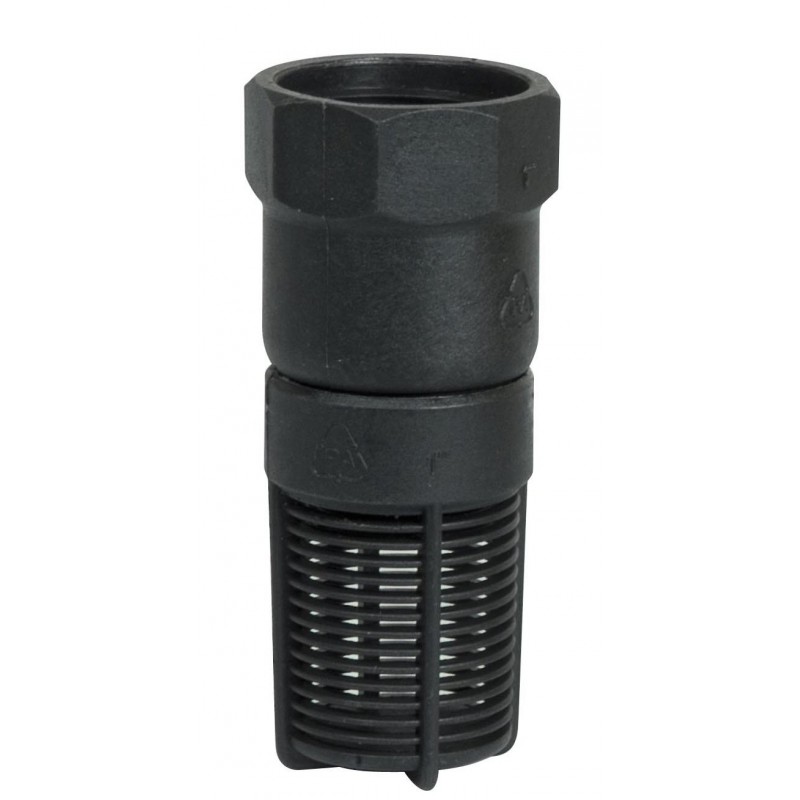 Crépine 1" femelle en plastique | Bricoman