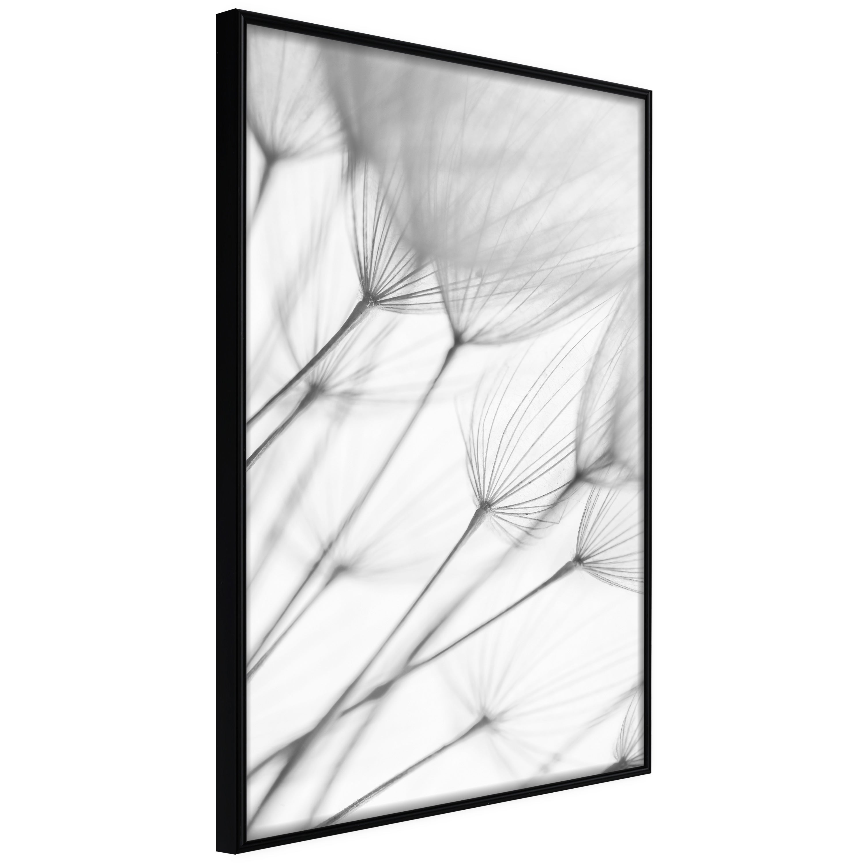 Poster et affiche - Gentle Blow - 30x45 | Leroy Merlin