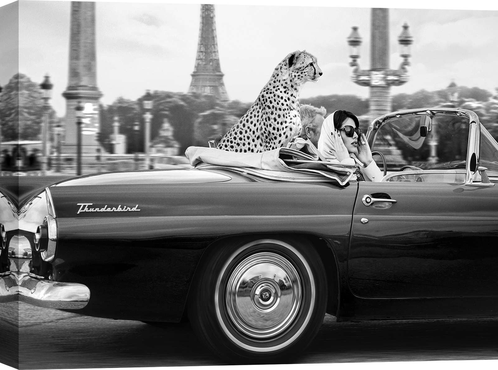 Cuadro de moda, fotografía en blanco y negro - impresión sobre lienzo ...