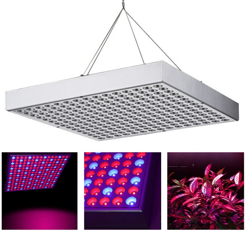 Lámpara LED Roja y Azul Planta 15WLED Planta de Jardín Interior Luz ...