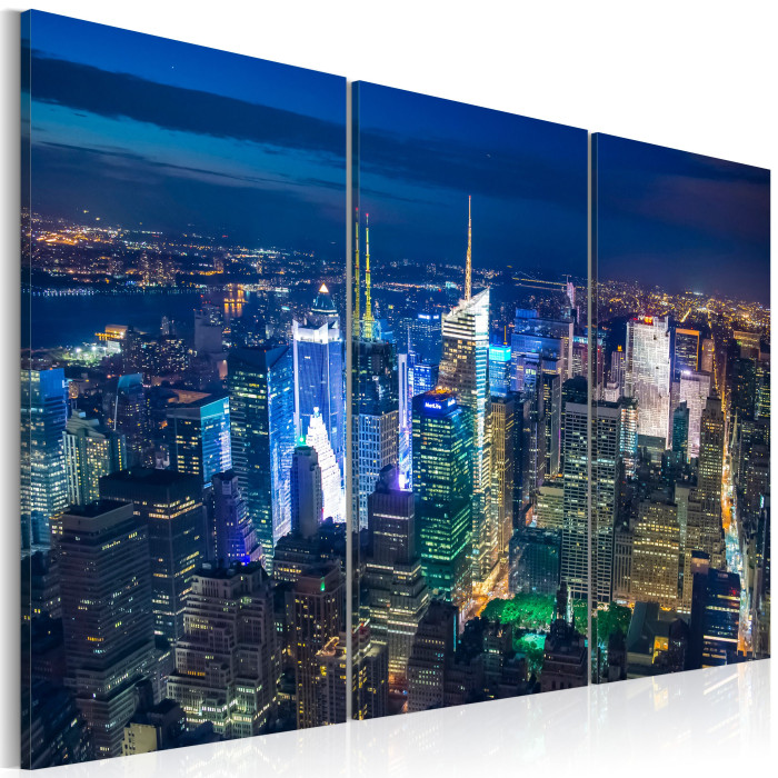 Tableau "Vue Aérienne de la Ville de New York" 40 x 60 cm | Leroy Merlin