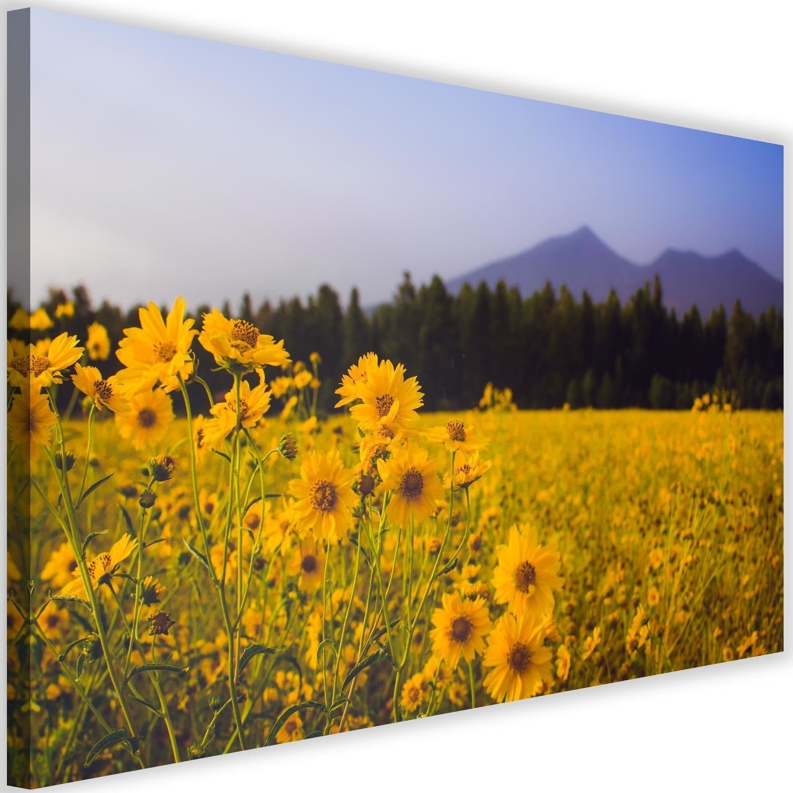 Tableau fleur jaune sauvage - 120 x 80 cm | Leroy Merlin