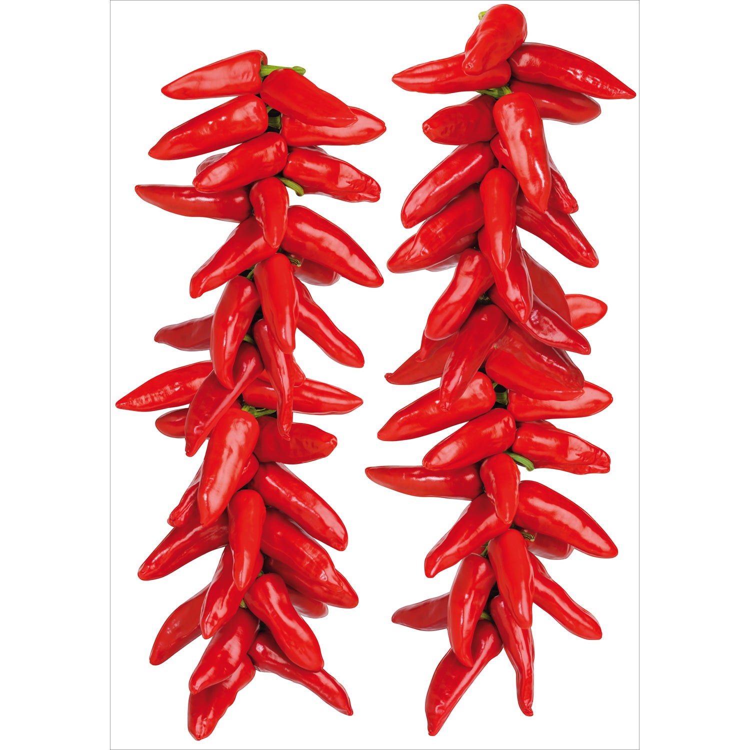 Sticker décoratif autocollant, grappes de piment rouges et magnifique ...