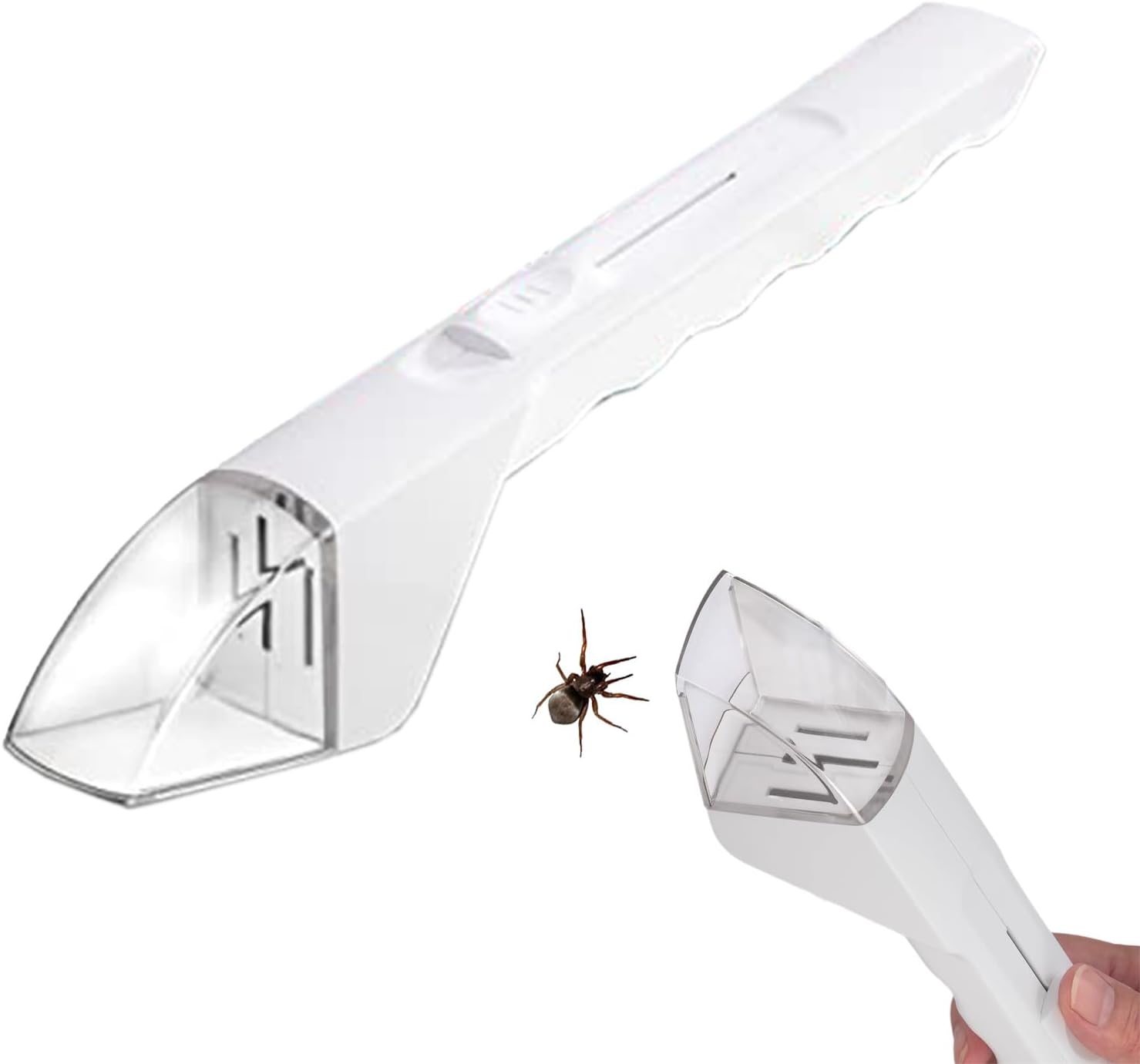 Attrape-Insectes Vivants Long Manche, Outil D'attrape-Insectes Et Loupe ...