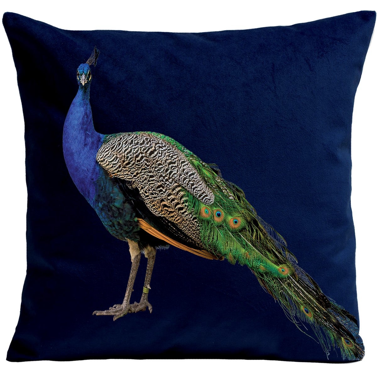 Coussin style campagne, Royal Peacock | Leroy Merlin