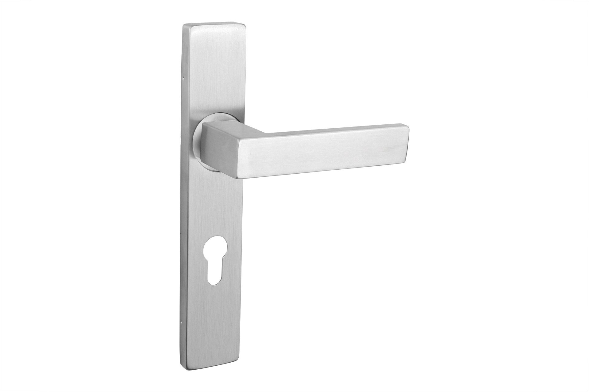 Wovar Poignée de porte Lavuzo Imperio en acier inoxydable avec bouclier ...