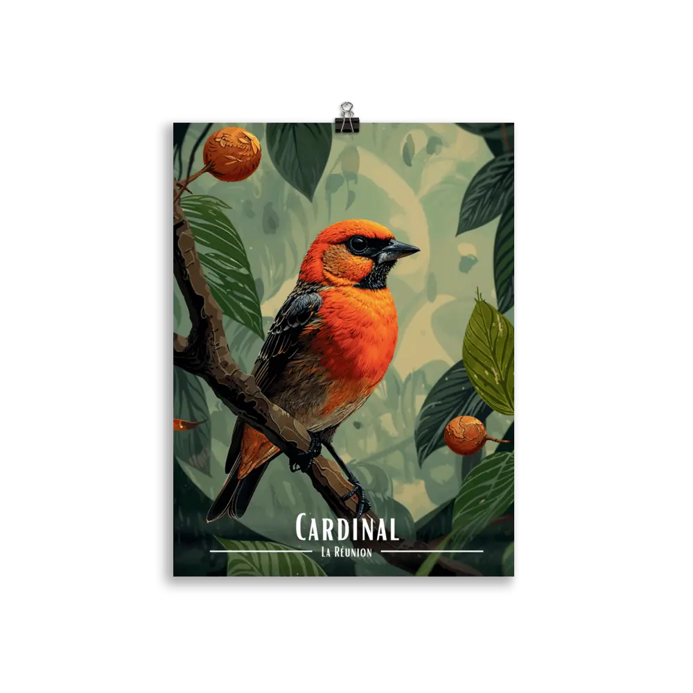 Affiche de La Réunion 'Cardinal' | Leroy Merlin