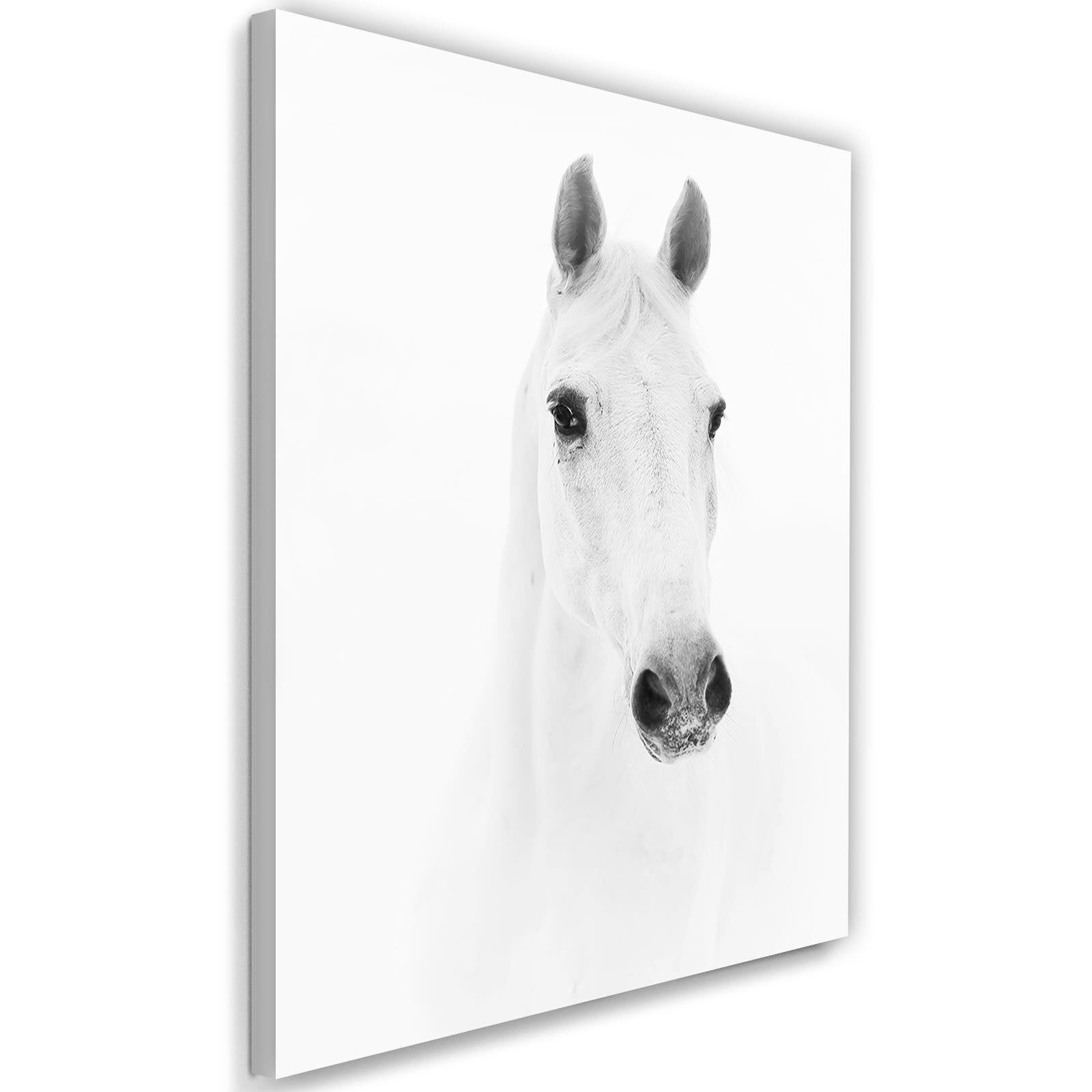 Tableau cheval gris - 60 x 90 cm | Leroy Merlin