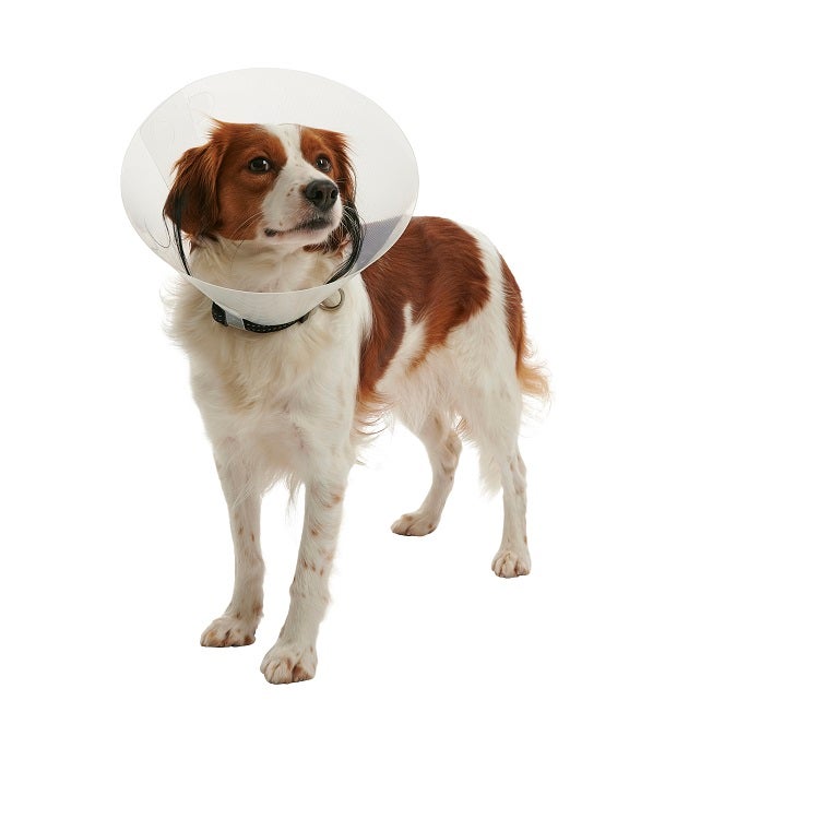 KRUUSE Collar Isabelino Transparente BUSTER CLIC, 30 cm, Perros 25 a 35 ...