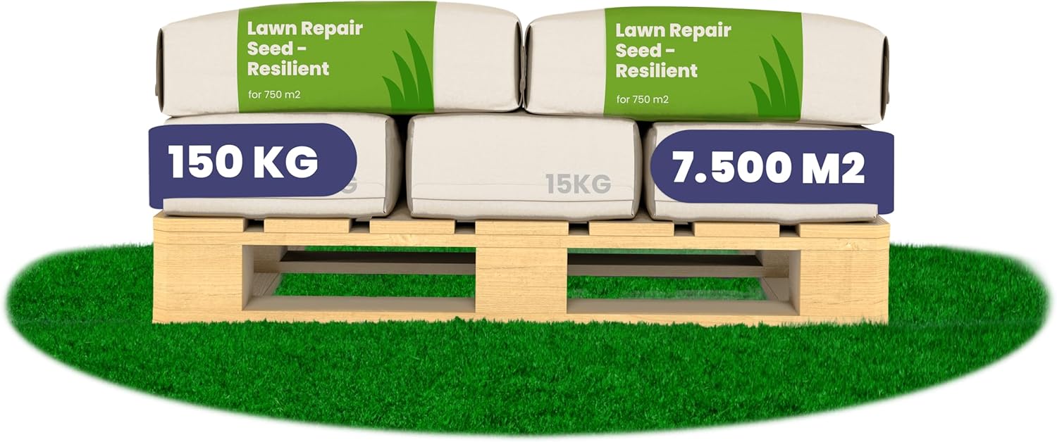 Semence Gazon Regarnissage - Résilient - 10X = 150 Kg Pour 7500 M2 ...