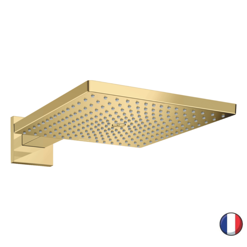 Douche de tête HANSGROHE Raindance E, 1 jet avec bras de douche aspect ...
