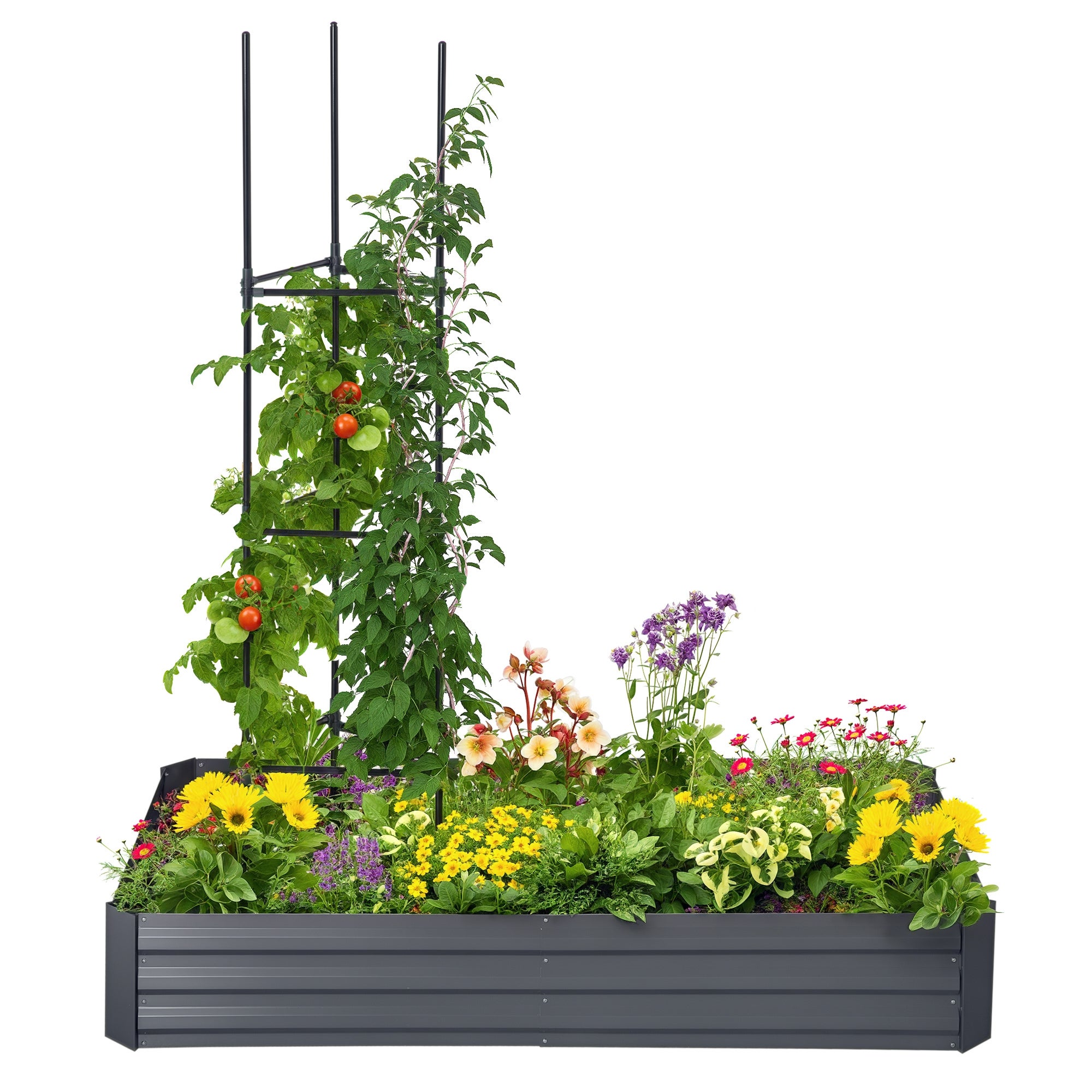 Carré potager jardinière rectangulaire en métal avec tuteurs pour ...