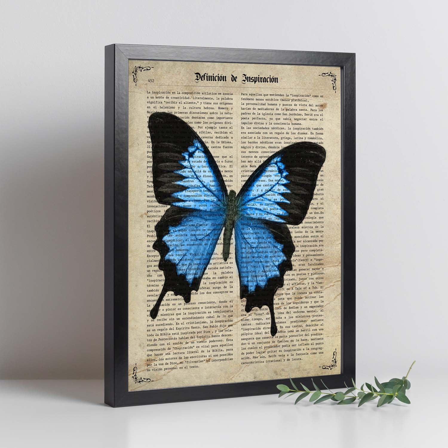 Poster De Mariposa Morfo Azul. Láminas De Mariposas. Decoracion De ...