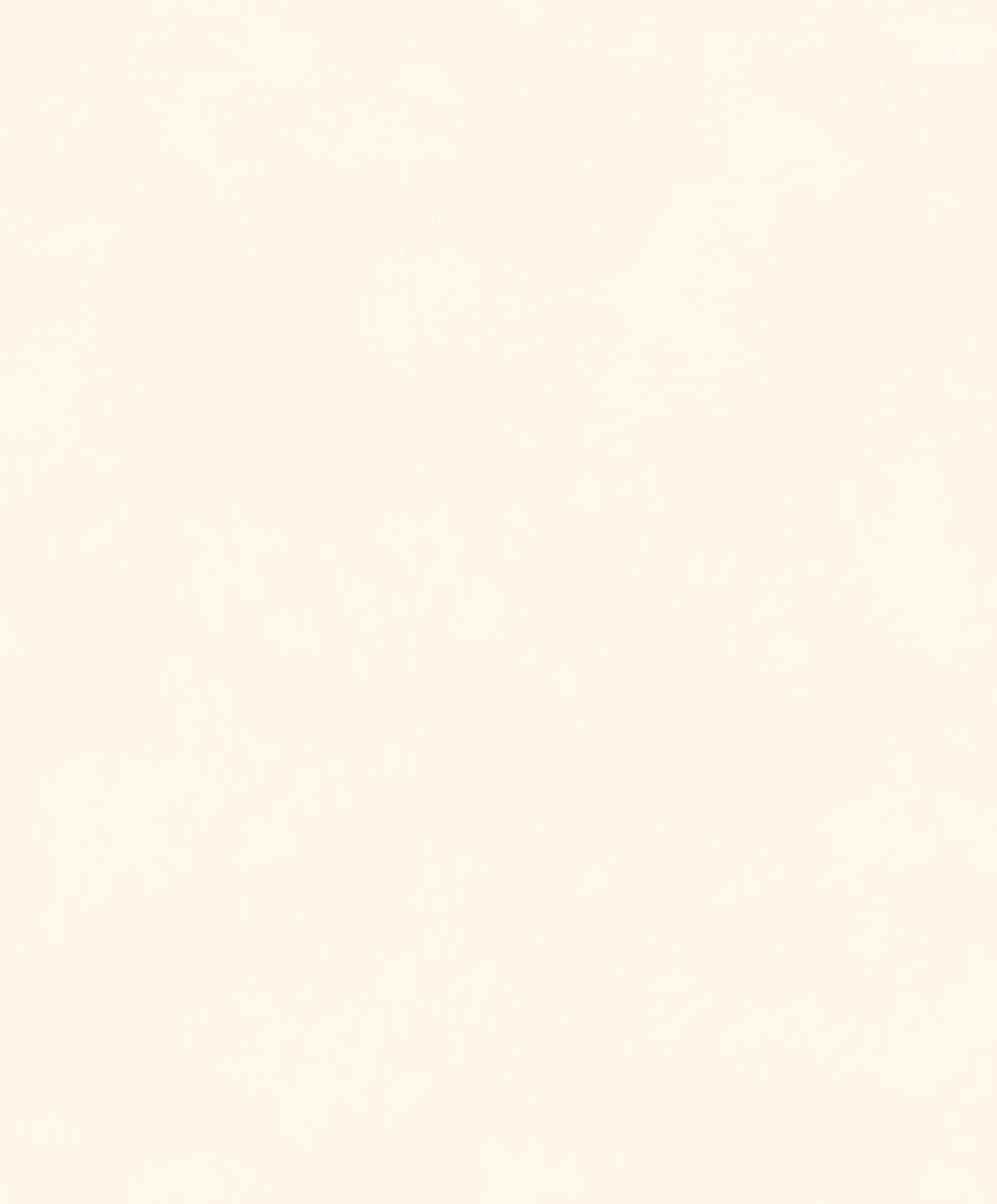 Papel pintado liso beige - 106 cm x 10.05 m - Khroma by Masureel ...