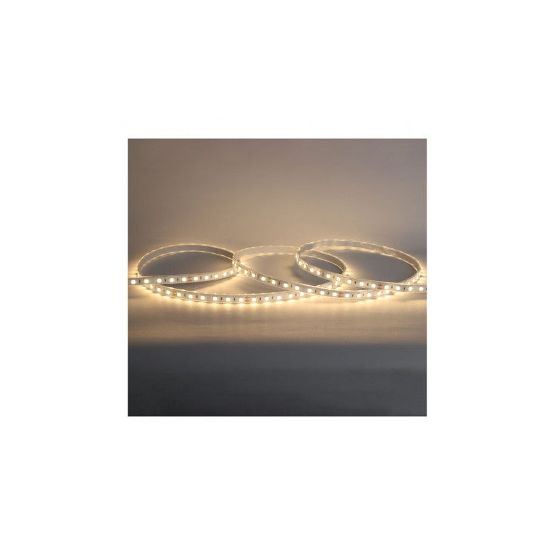 Bandeau LED Dimmable DC12V 9W/m 960lm/m 60LED/m 120° Étanche IP67 5m ...